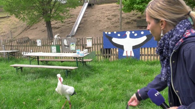 Bauernmarkt am Tierpark Hebelei - tvM Meissen Fernsehen
